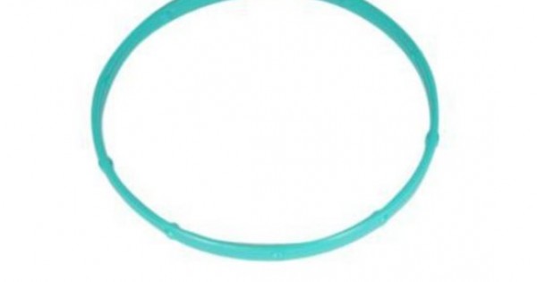 12589235 - Seal - Throttle Body - Workhorse Parts