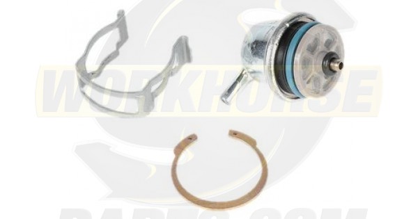 19210686 - Fuel Pressure Regulator - Workhorse Parts